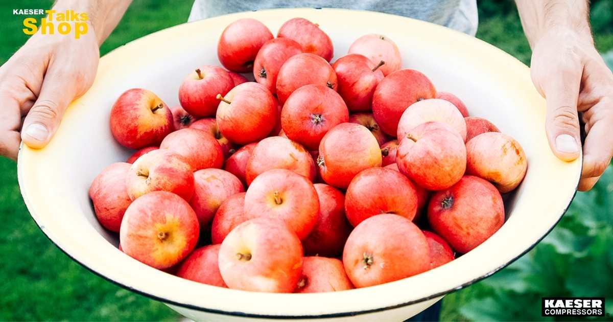 CAGI: Helping you pick the good apples | Kaeser Talks Shop